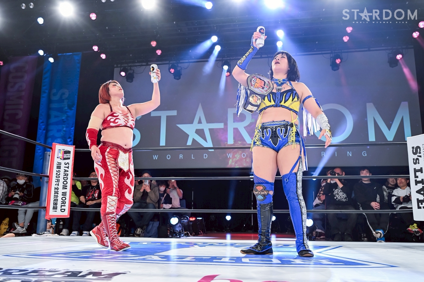 20250412_3 | Rapport de correspondance | Stardom stardom