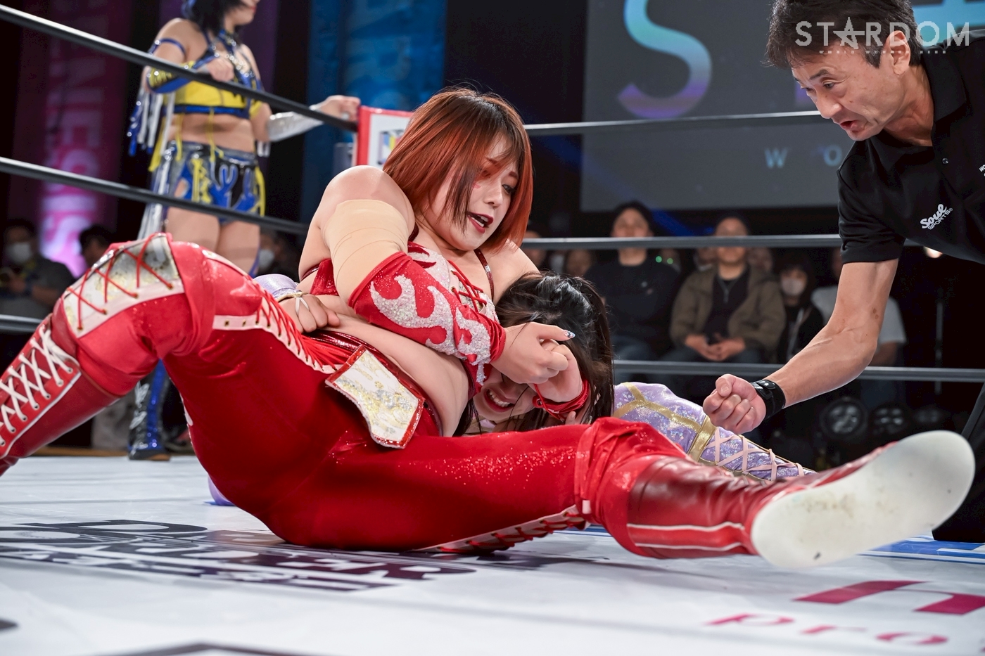 20250412_3 | Laporan Pencocokan | Stardom stardom