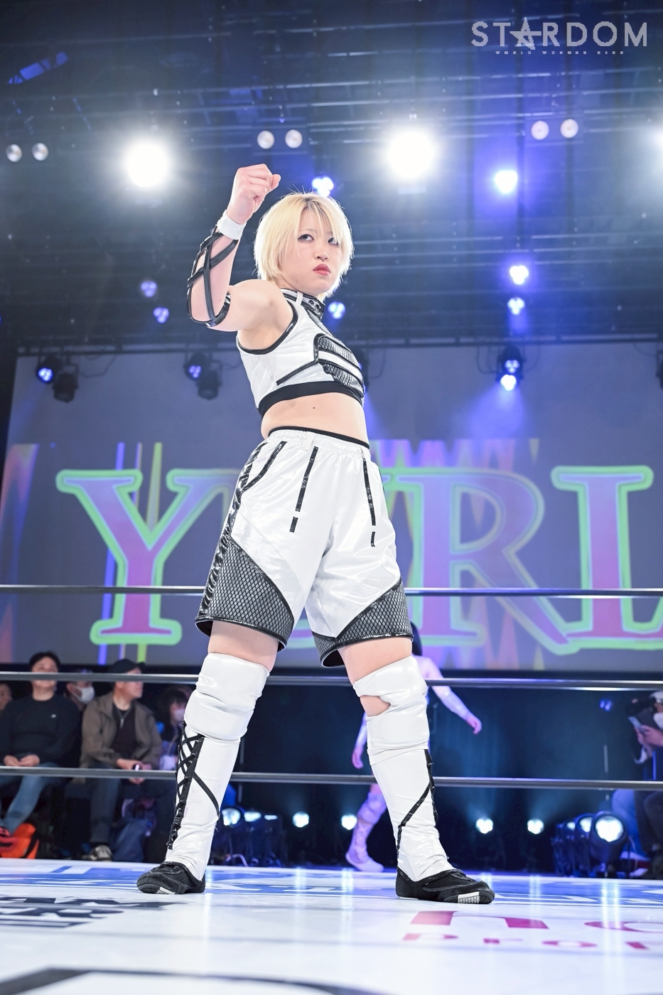 20250412_3 | Laporan Pencocokan | Stardom stardom