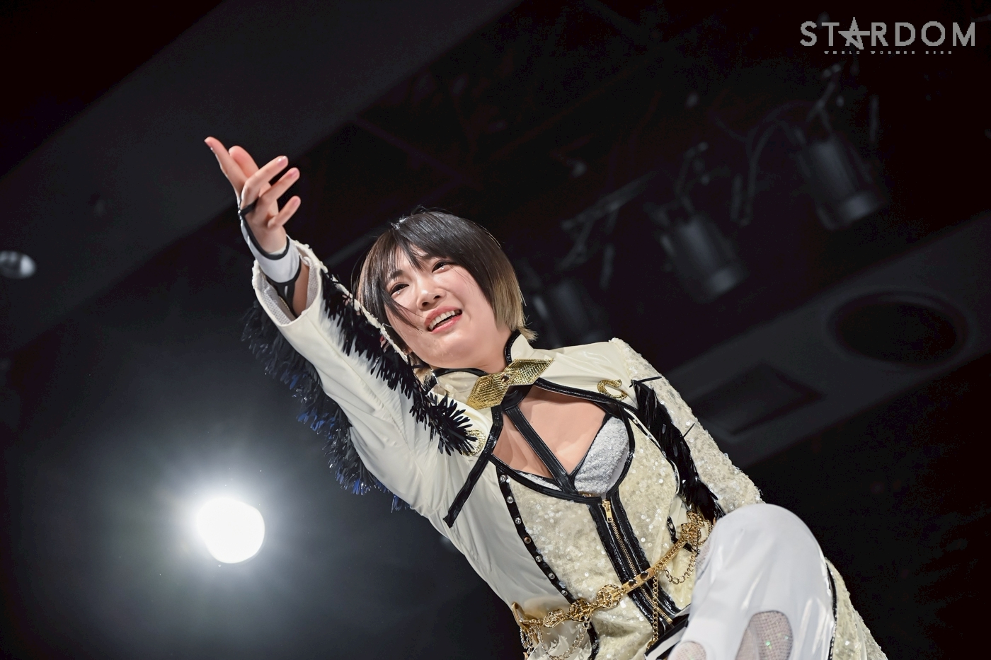 20250412_2 | Informe de coincidencias | Estrellato