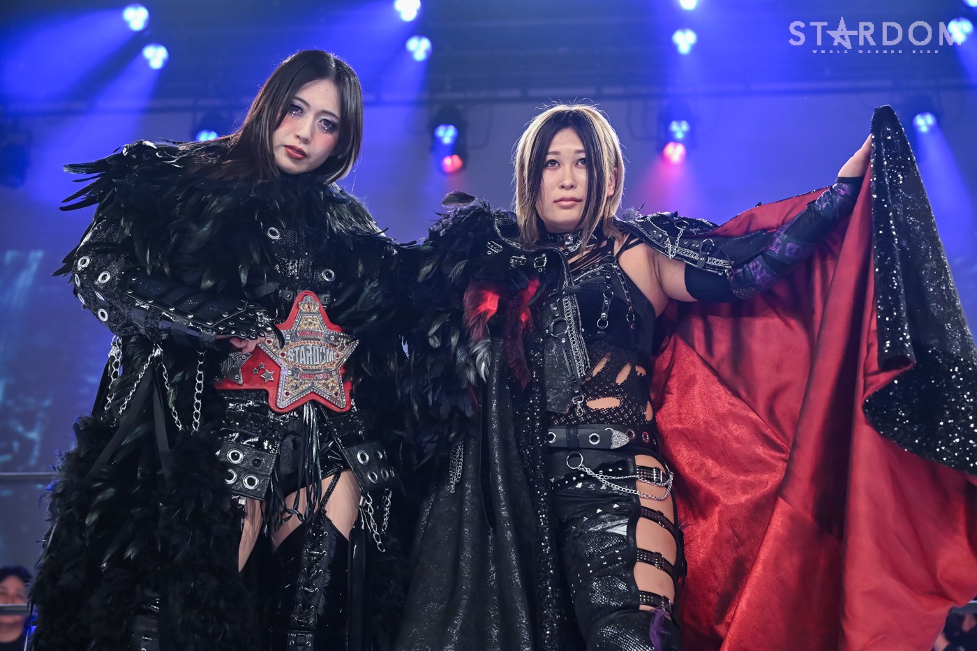 20250412_7 | Laporan Pencocokan | Stardom stardom